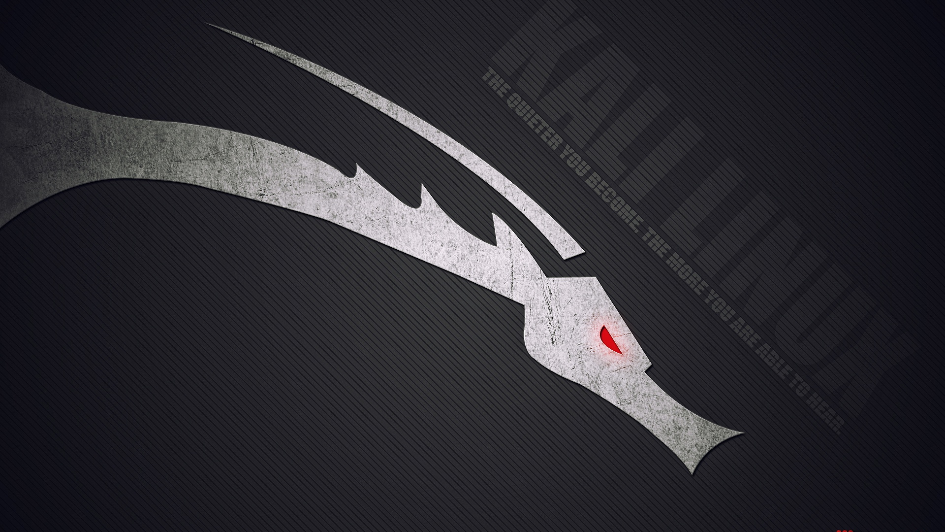 Kali Linux Wallpaper 1920x1080 WallpaperSafari