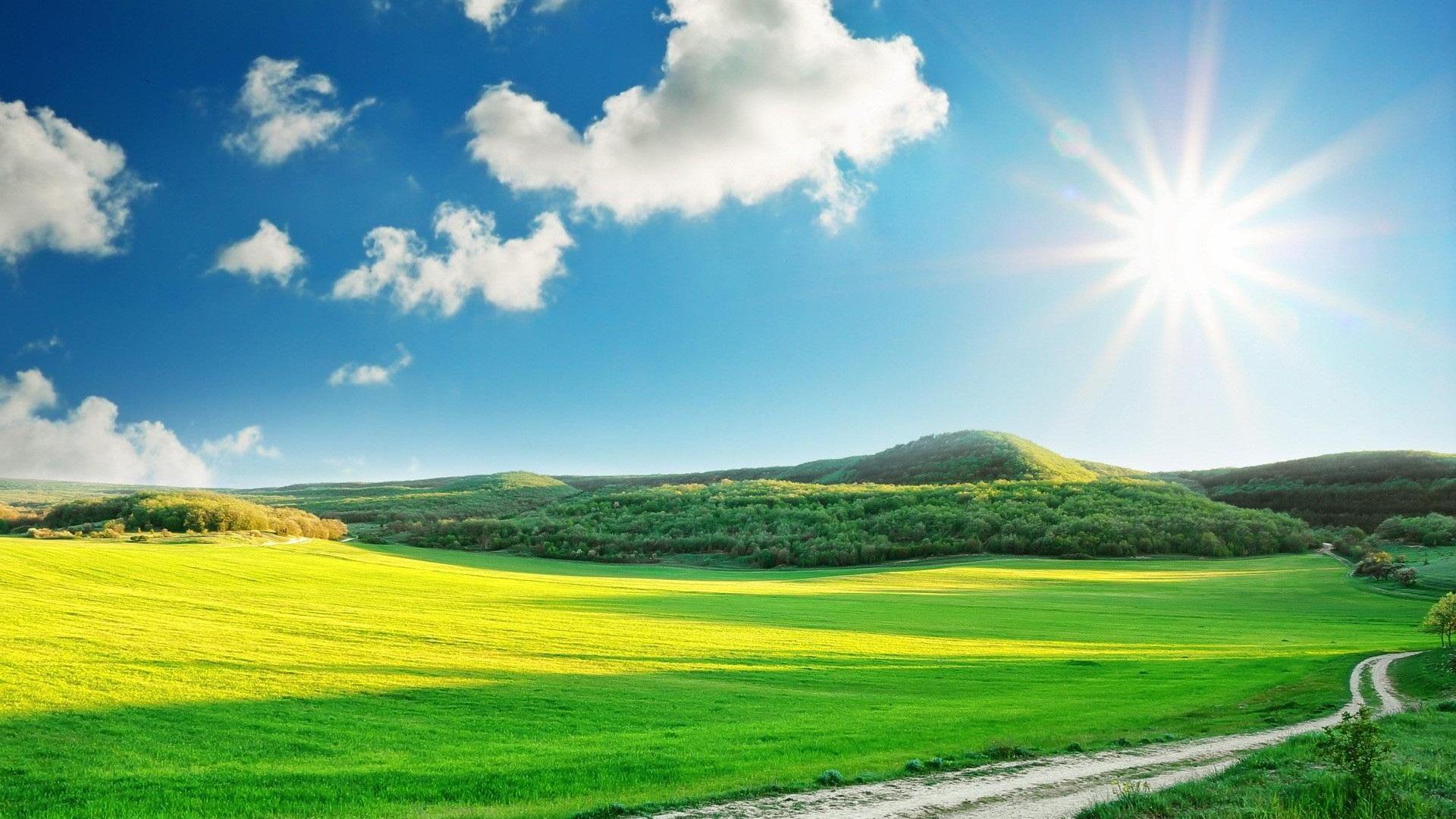 Sunny Day Wallpaper Nature Widescreen WallpaperSafari