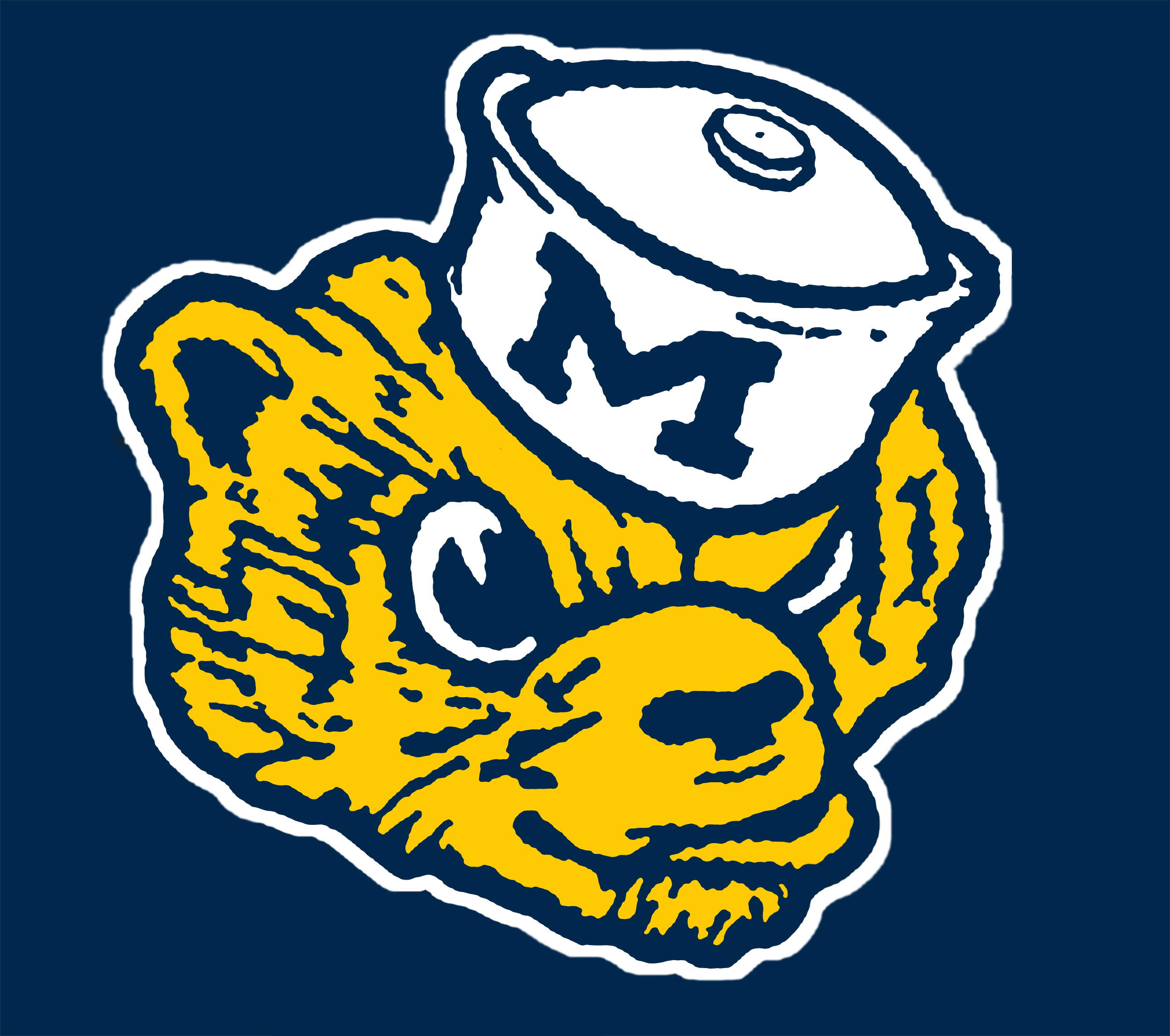 University Of Michigan Screensaver Wallpaper WallpaperSafari University Of Michigan Screensaver Wallpaper WallpaperSafari