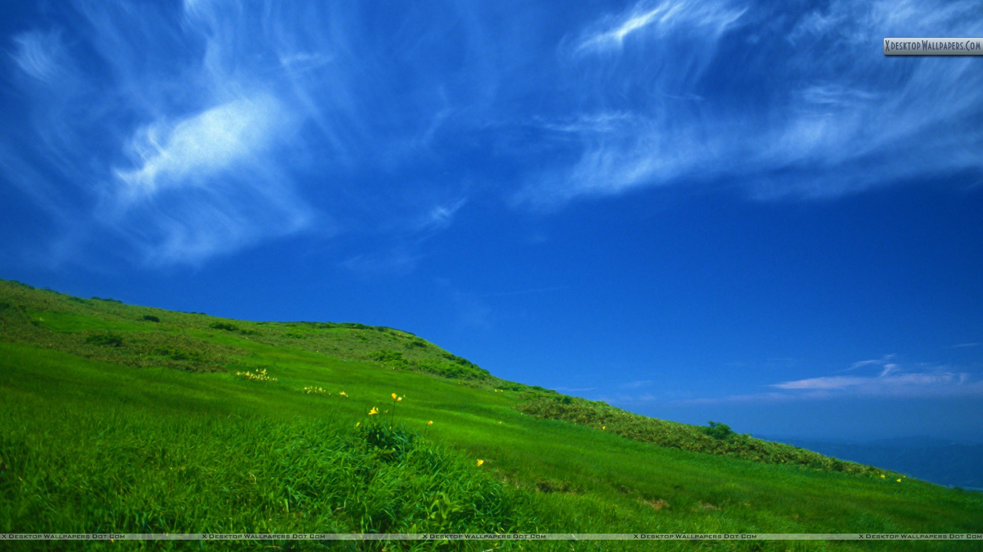Sunny Sky Wallpaper WallpaperSafari Sunny Sky Wallpaper WallpaperSafari