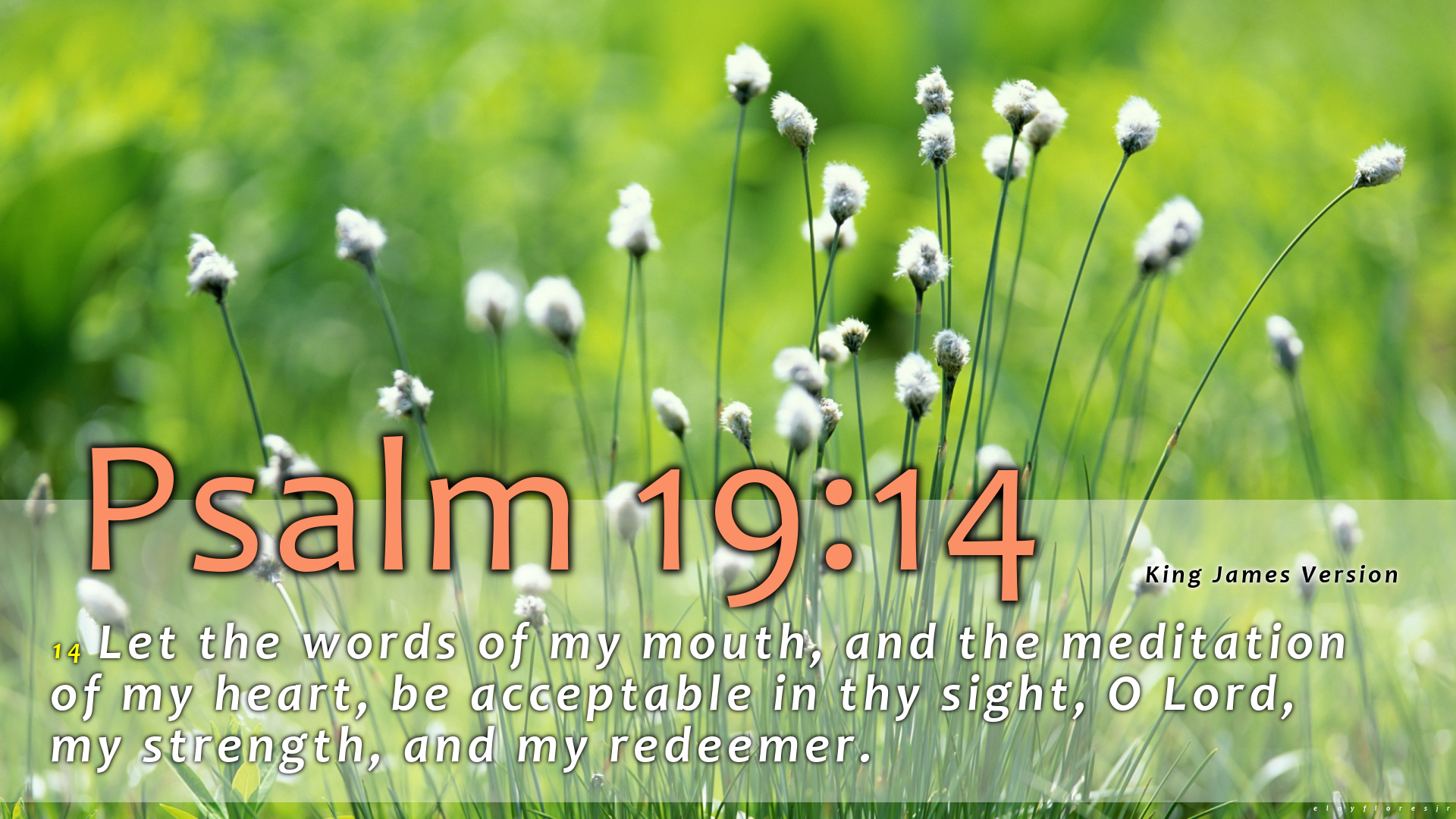 Psalms 19 14 Wallpaper WallpaperSafari Psalms 19 14 Wallpaper WallpaperSafari