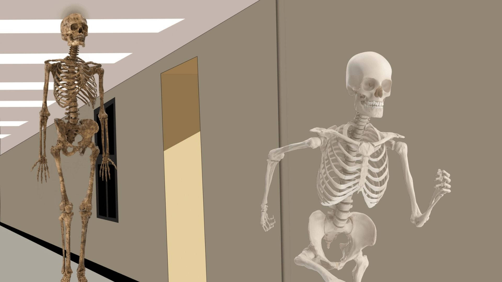 🔥 Free Download Skeleton Meme Wallpaper by @mwoodard | WallpaperSafari