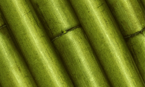 Free download Bamboo Wallpaper Bamboo Textured Wallpaper [1600x1200 ...