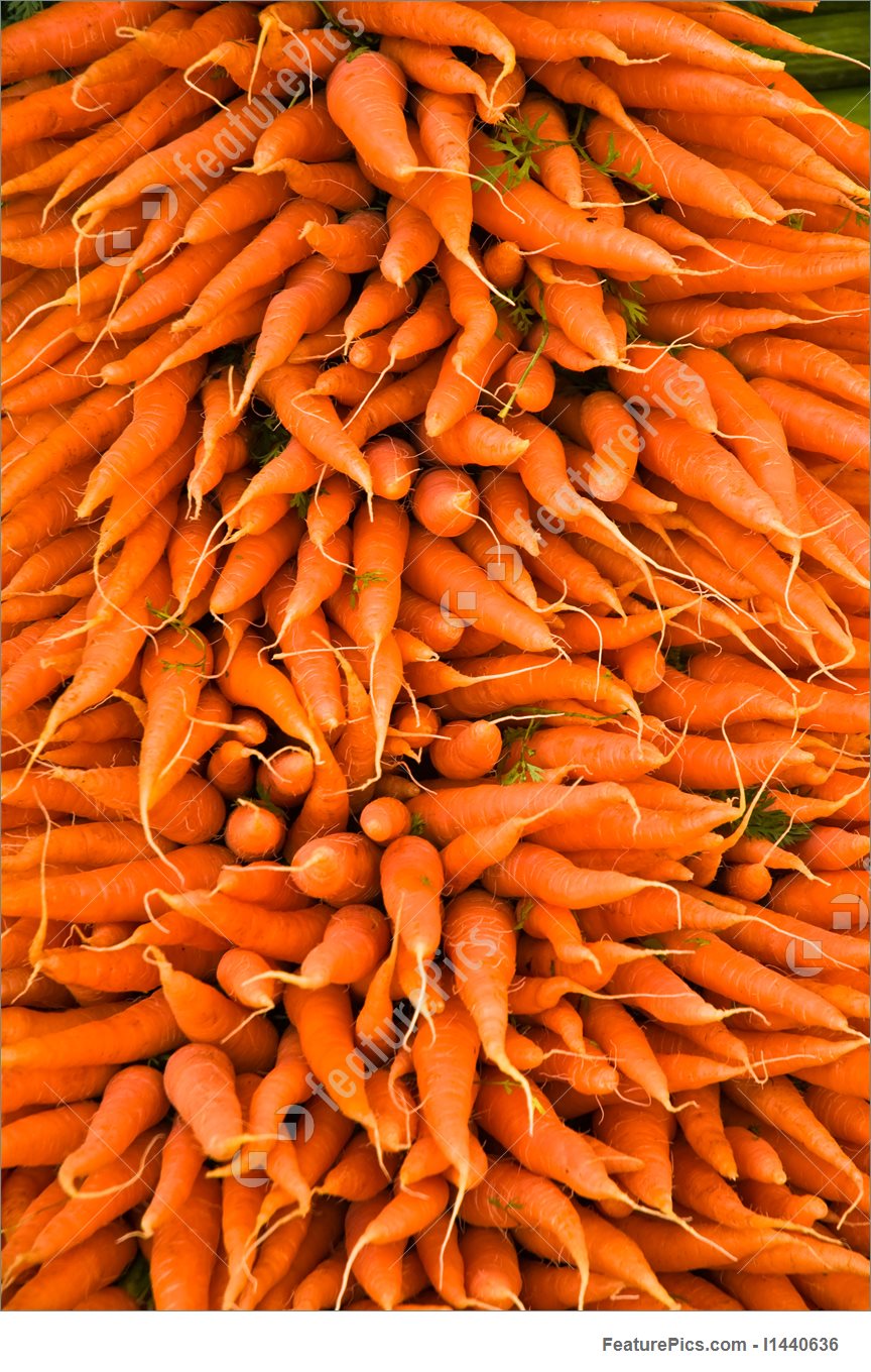 🔥 Free Download Food Carrots Jumble Vegetable Background Stock Photo ...