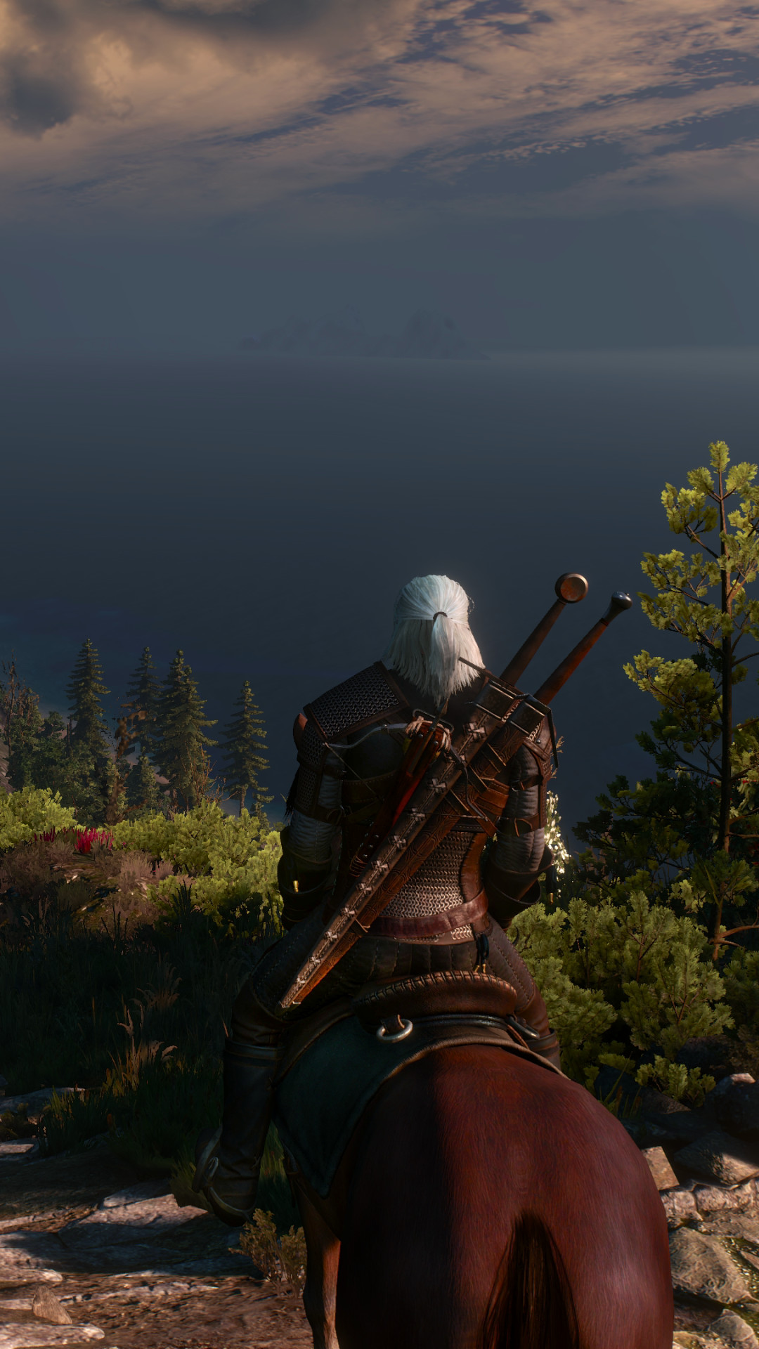 🔥 Free Download Witcher Iphone Wallpaper by @tylerd99 | WallpaperSafari