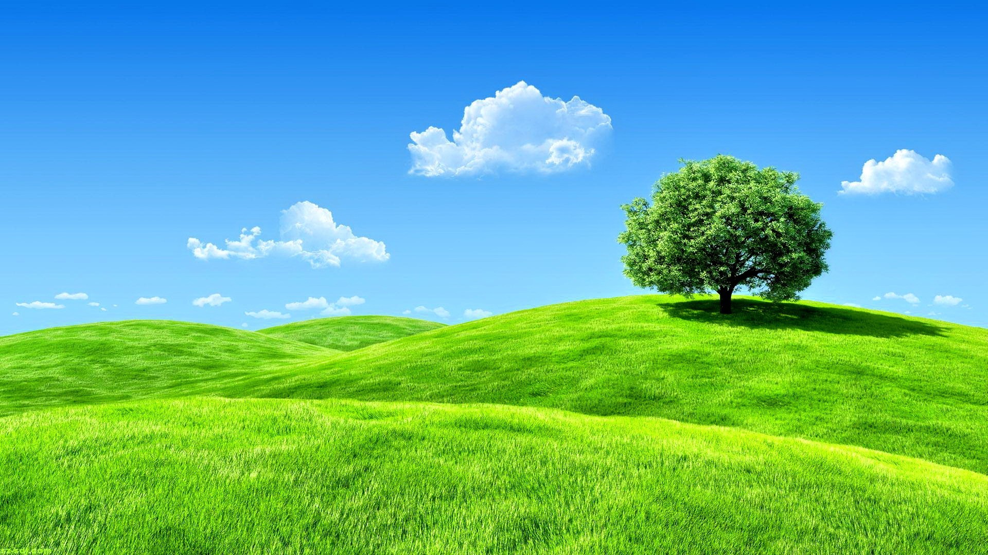 823 Background Image In Html Full Screen Images Pictures MyWeb