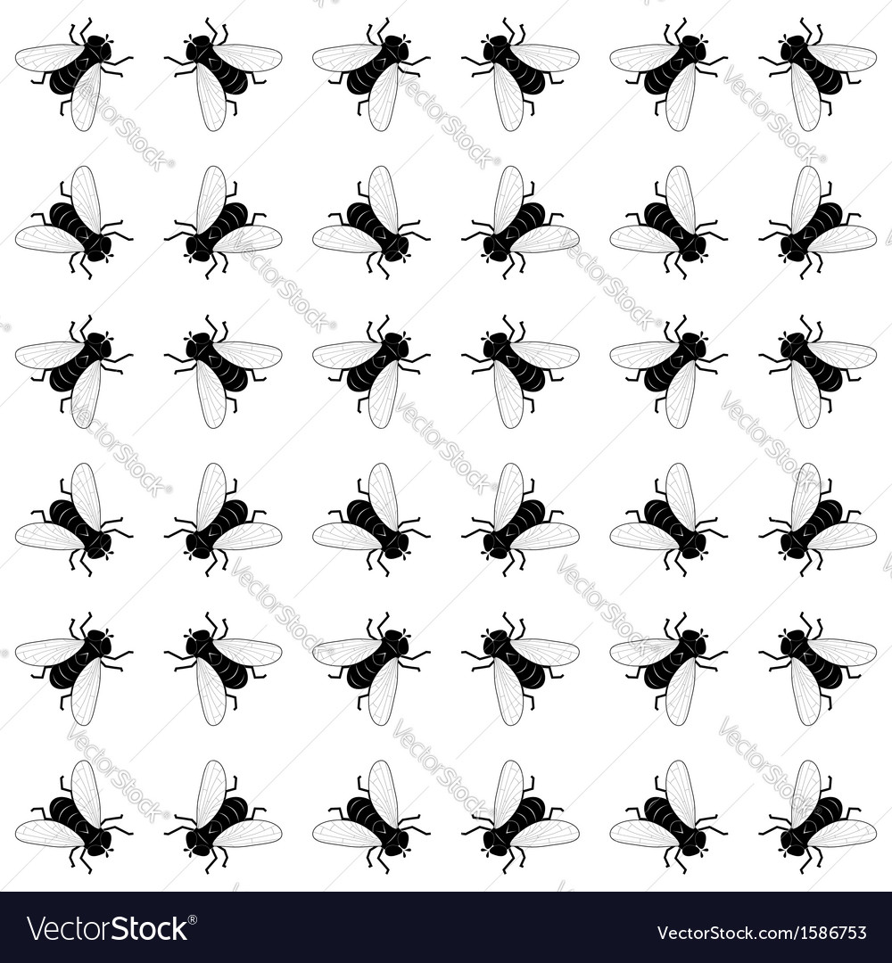 Free download Flies Transparent Background PNG Mart [2136x1868] for ...