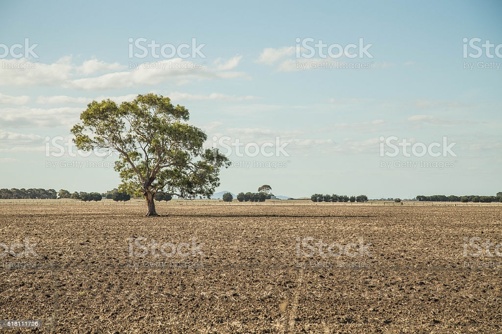 Free download Explore best flatland art [1700x470] for your Desktop ...