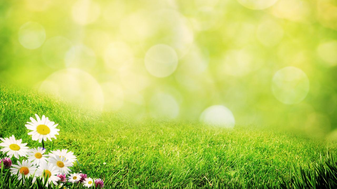 🔥 [100+] Free Live Spring Wallpapers | WallpaperSafari