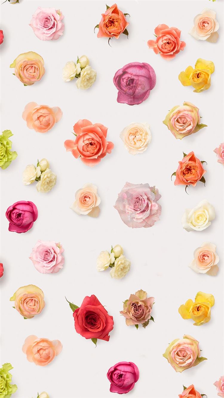 Free download Phone wallpaper background pinkpurple checkerboard flower ...