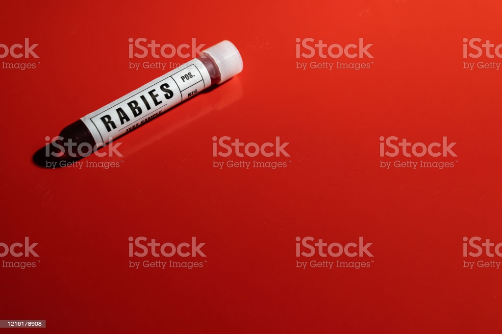 🔥 [39+] Rabies Background | WallpaperSafari