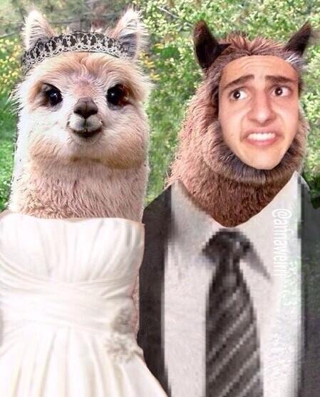 [50+] Twaimz Wallpaper on WallpaperSafari