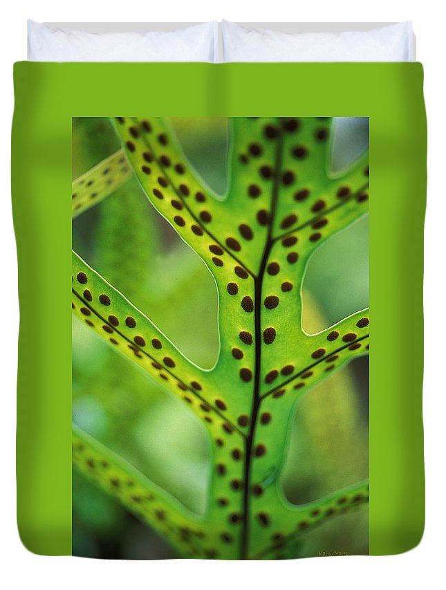 🔥 Free Download Hawaiian Laua E Fern Duvet Cover By Kathy Yates by ...