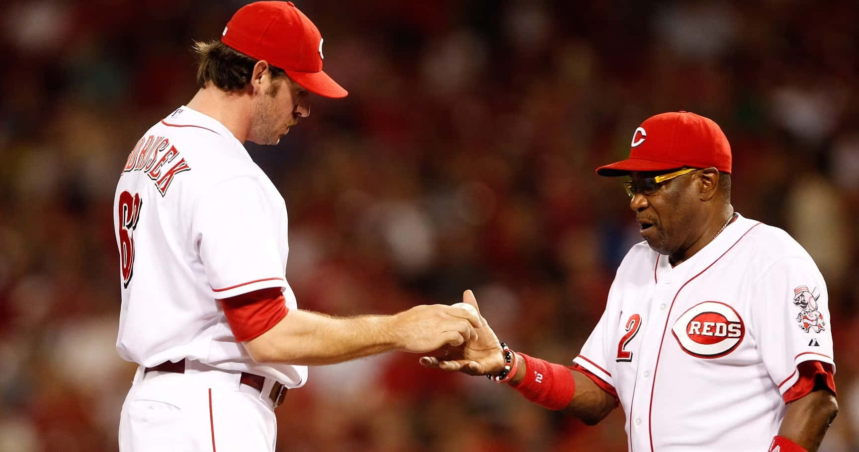 🔥 Free Download Mlb Players Celebrate Their Winning Record Wallpaper by ...