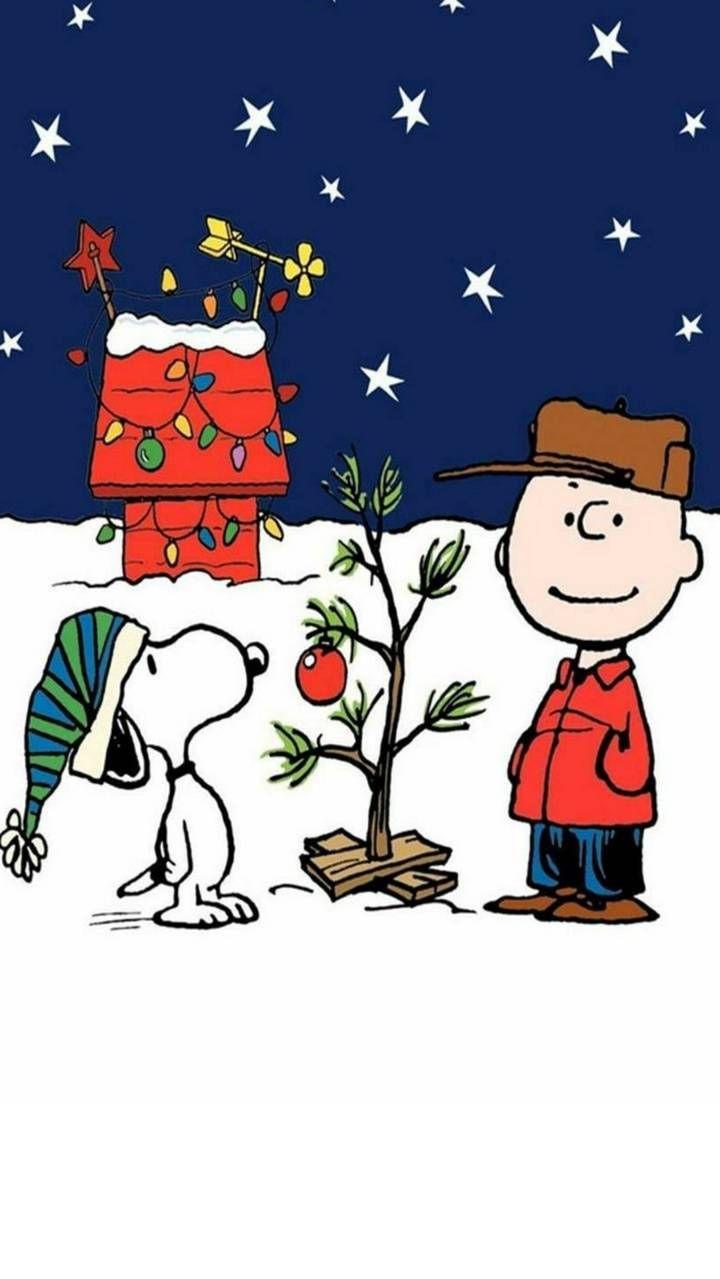 🔥 [60+] Snoopy Christmas 4k Wallpapers | WallpaperSafari