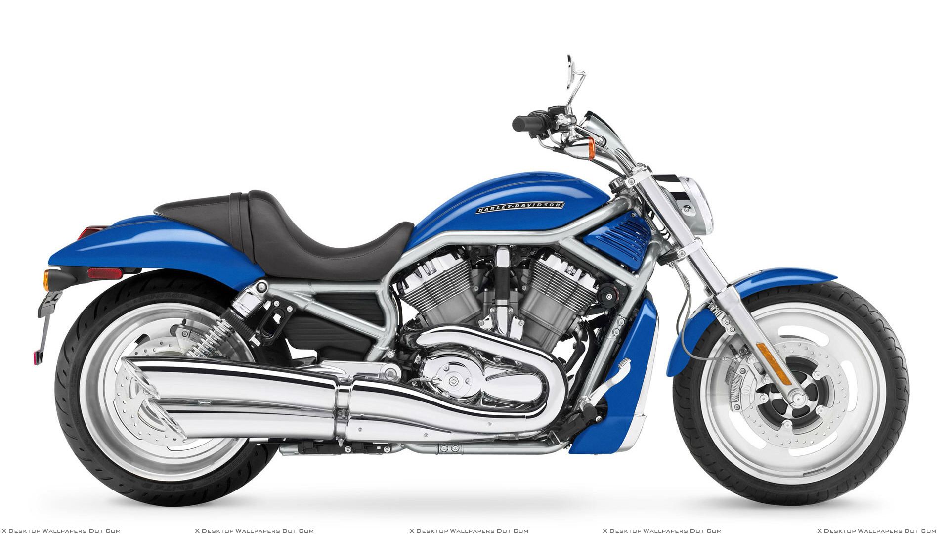 🔥 Free Download Blue Harley Davidson Vrscf V Rod Muscle Side Pic by ...