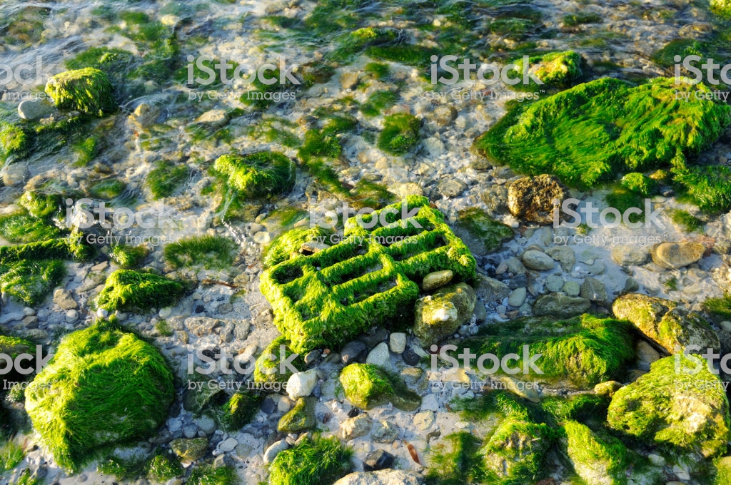 🔥 [36+] Beack Background | WallpaperSafari