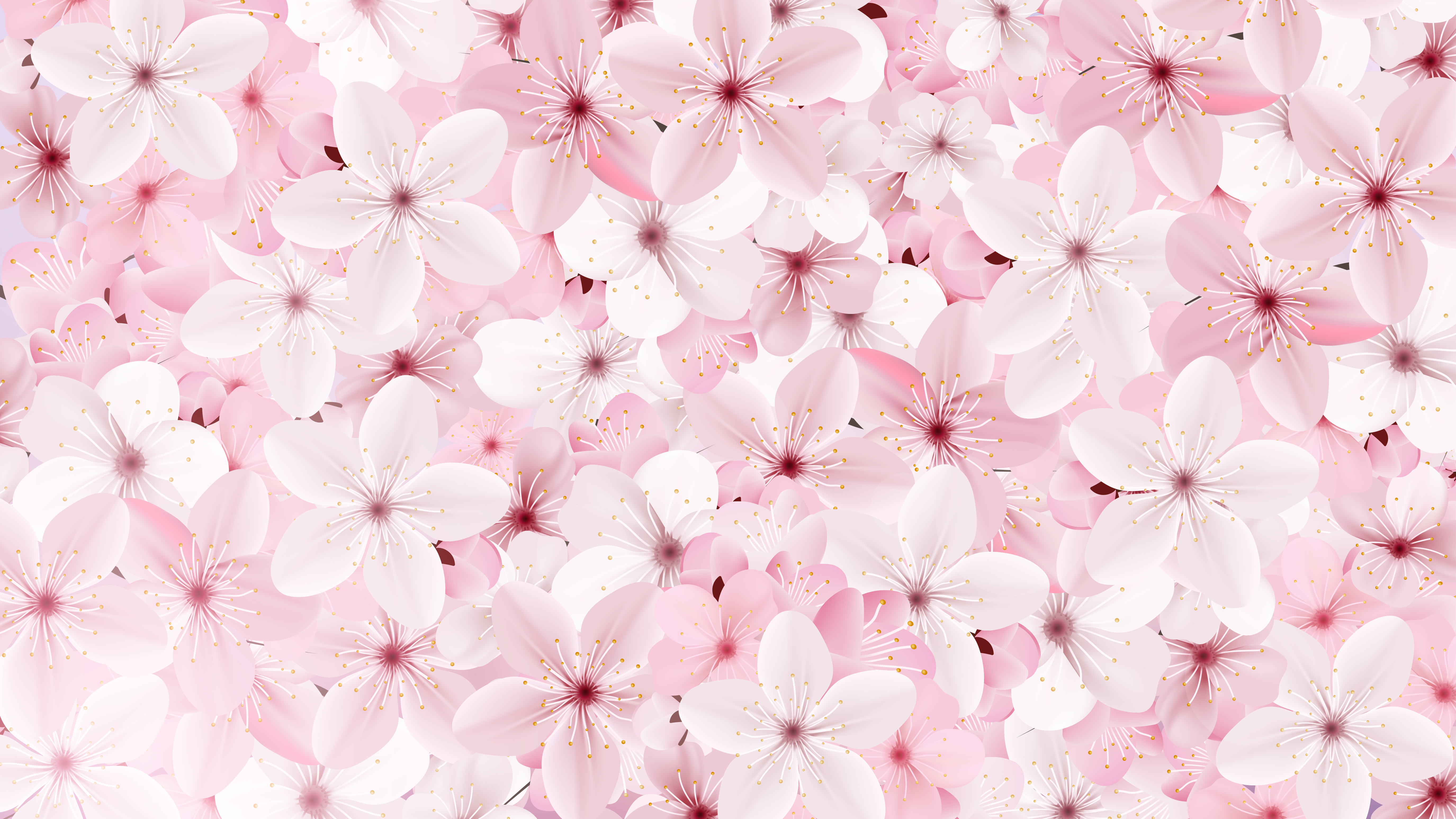 🔥 Free Download Blossoming Pink Sakura Flowers Background Vectors by ...