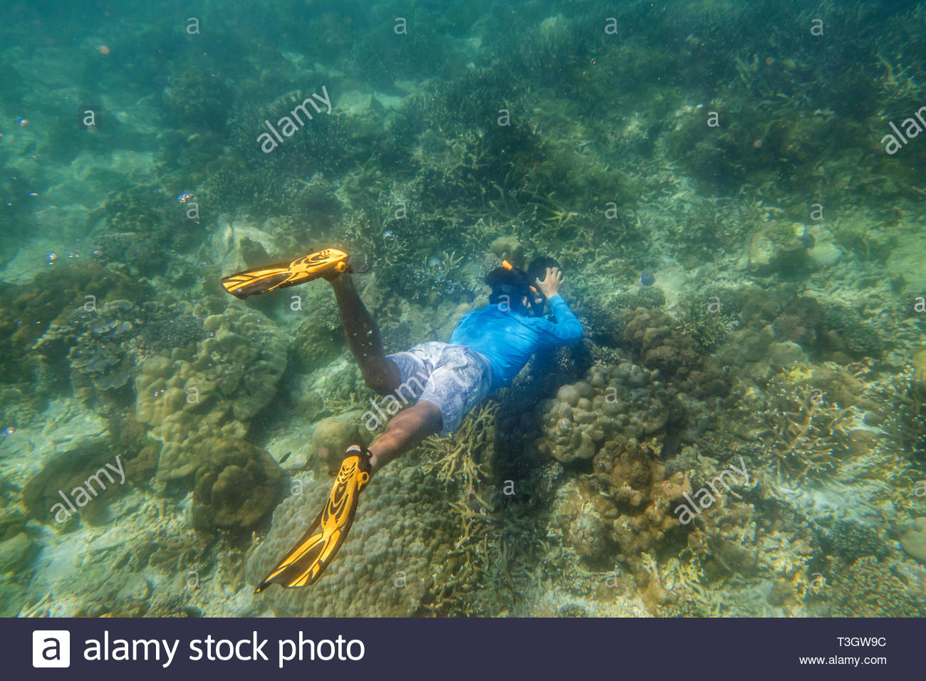 Free download Snorkeling Wallpapers and Background Images stmednet ...