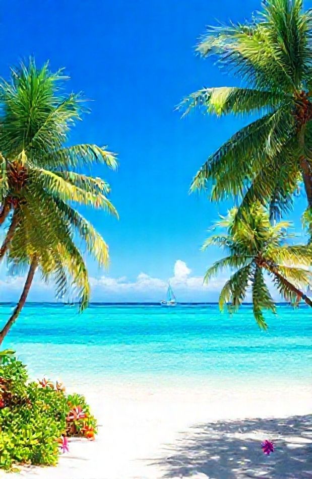 🔥 Free Download Tropical Island Wallpaper Screensavers by @amandaw75 ...