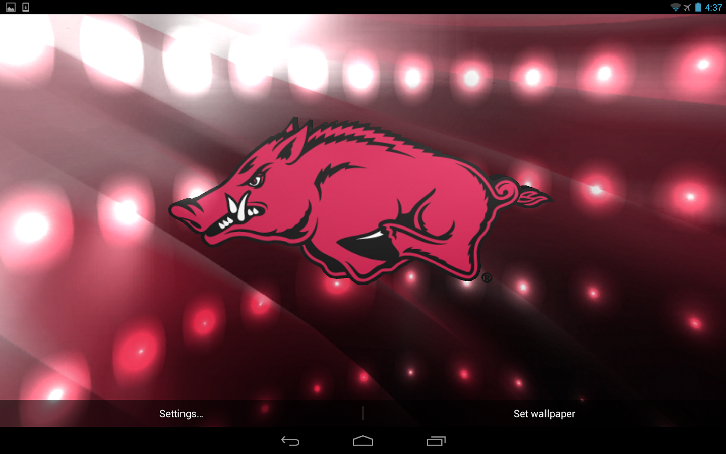 🔥 [50+] Razorback Wallpapers for Computer Screen | WallpaperSafari