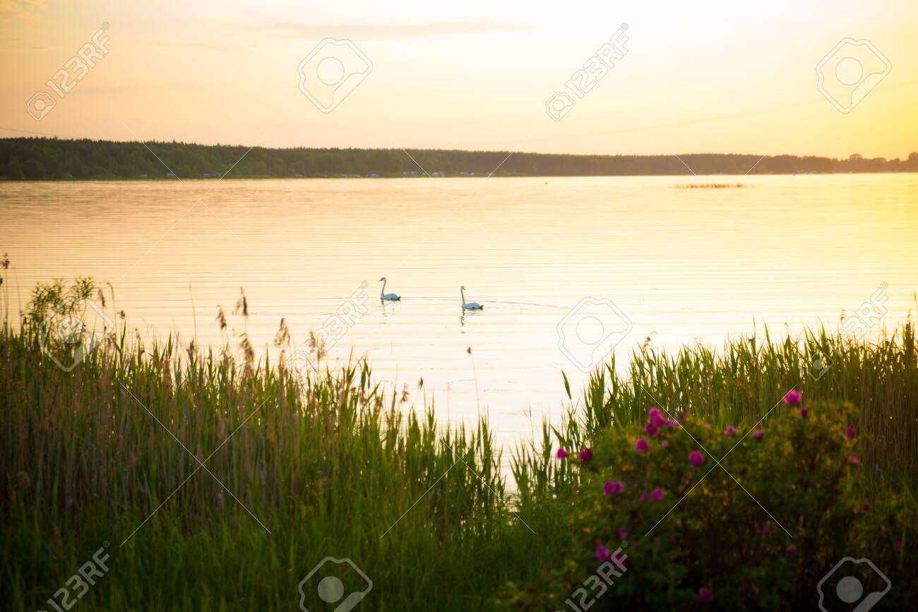 Free download Lakeside HD Wallpaper Background Image 2576x1920 ID271457 ...