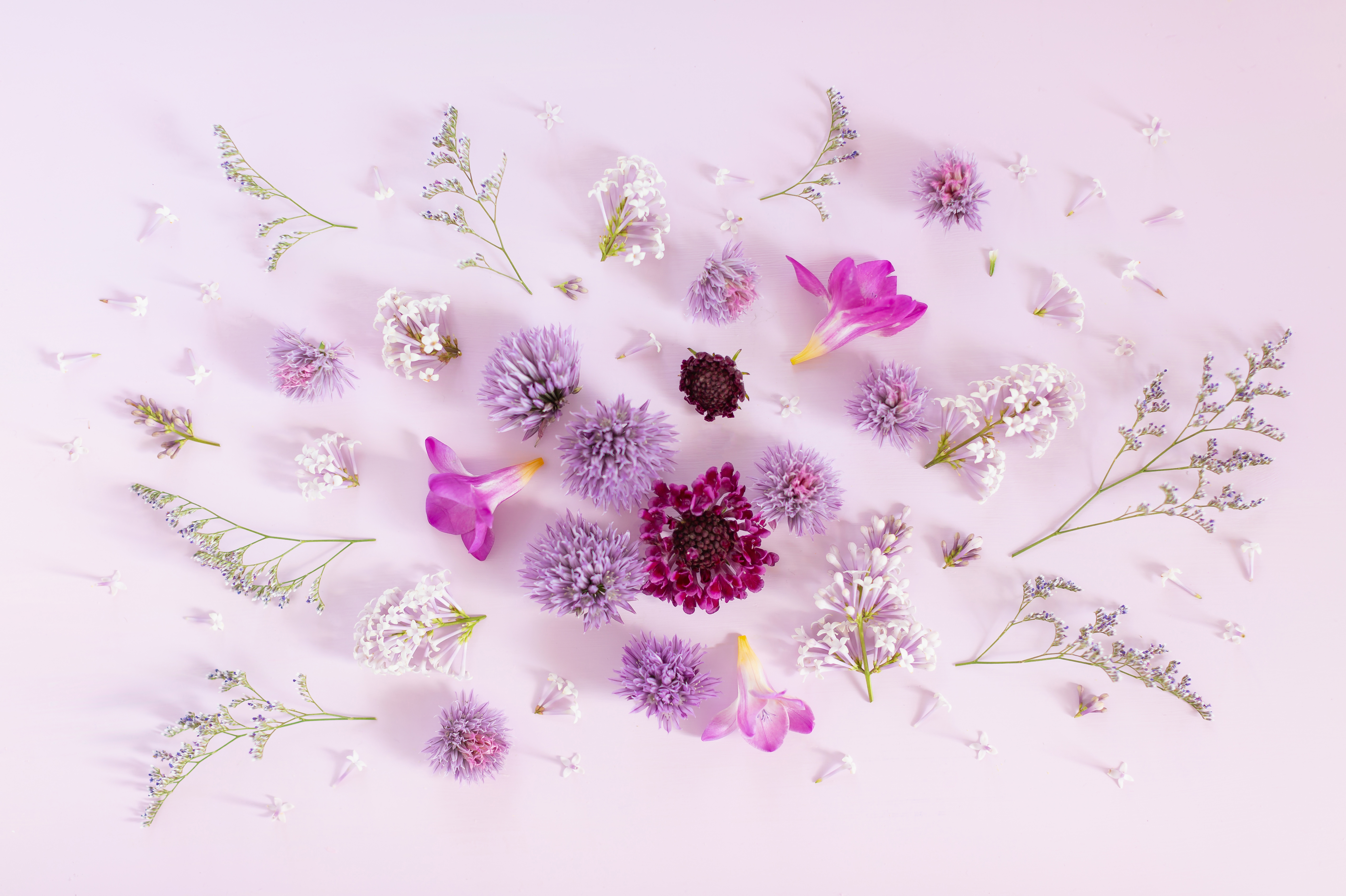  Free Download DIGITAL BLOOMS JULY FREE DESKTOP WALLPAPER MY 400TH