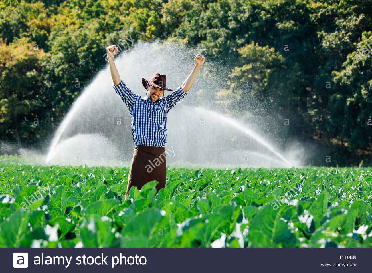 [42+] Sprinkler Backgrounds | WallpaperSafari