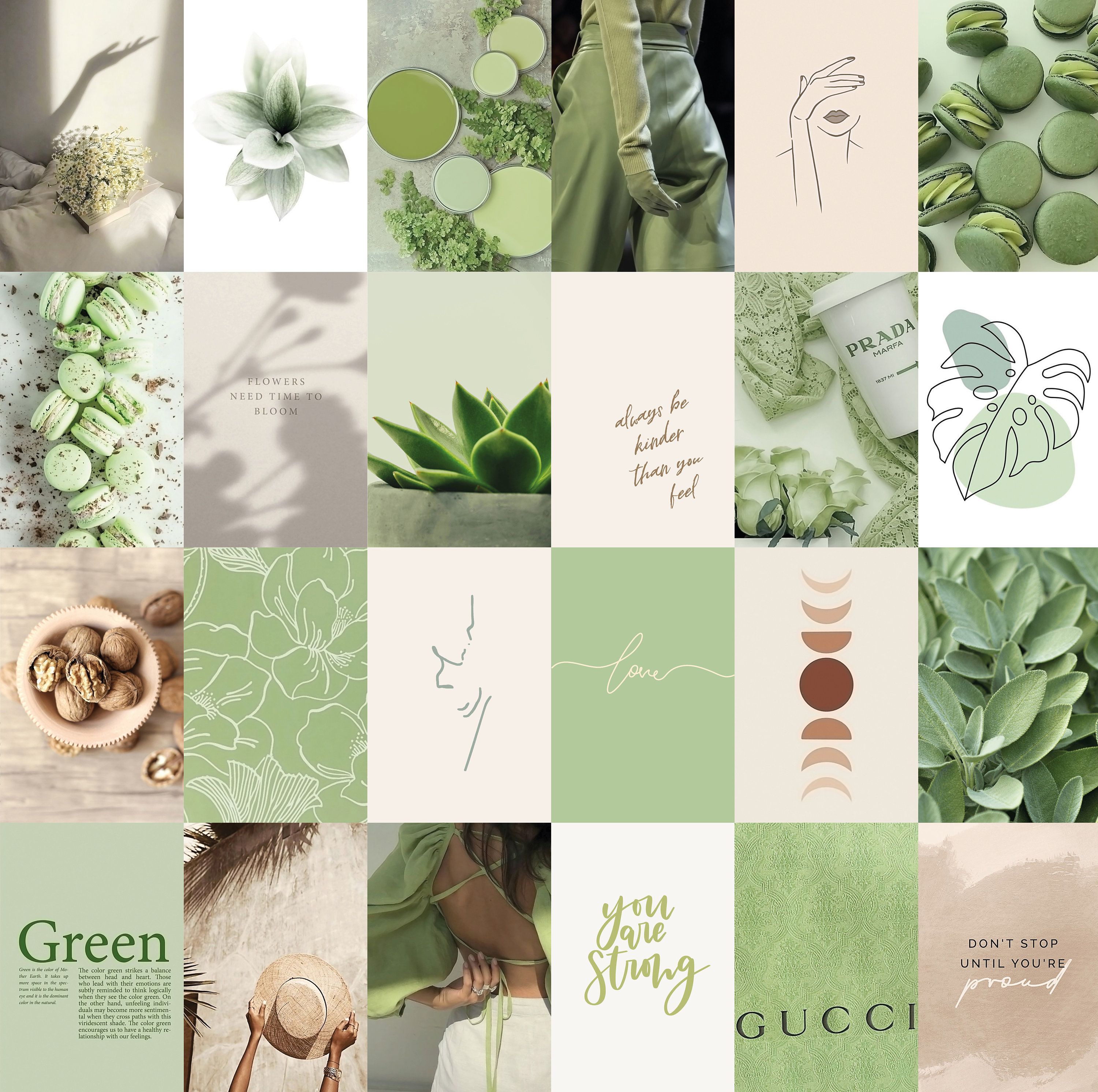 🔥 Free Download Plant Aesthetic Colors Collage Green Wallpaper by ...