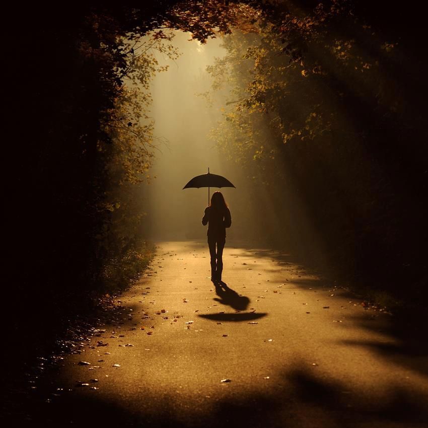 🔥 Free Download Sunshower Rain Photo Pictures by @christinestanley ...