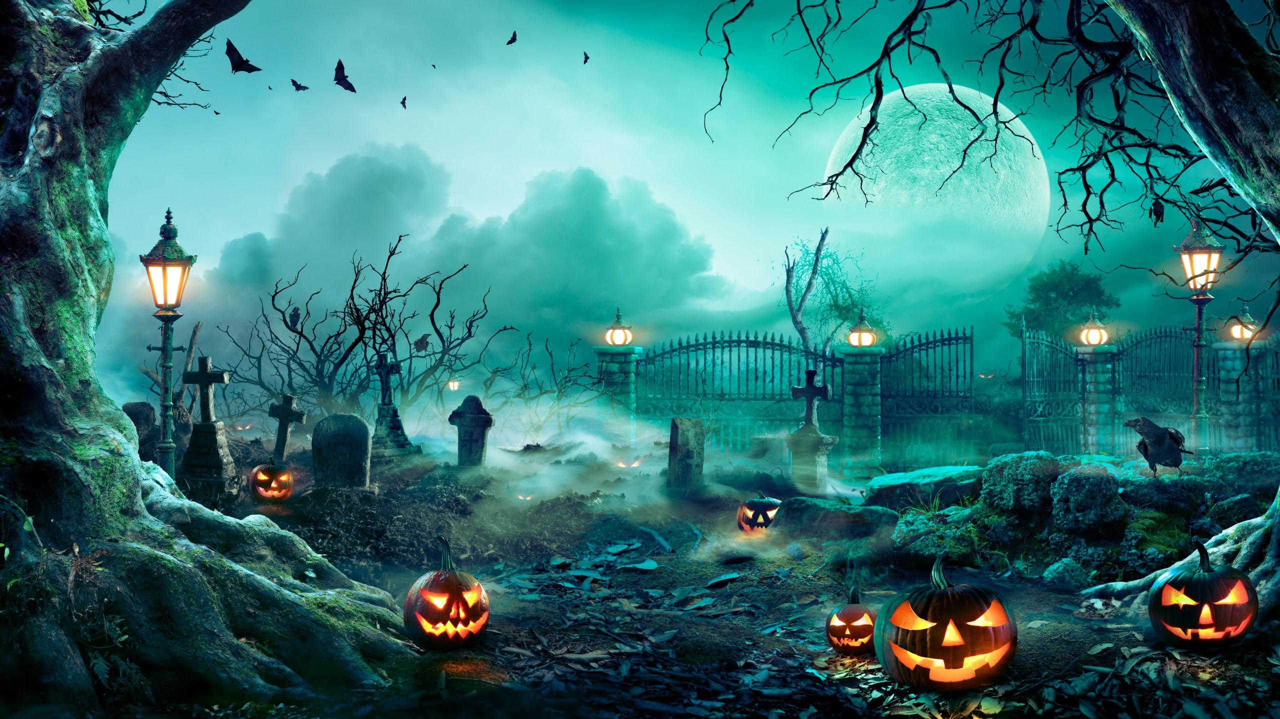 Free Download Wanna Scare Check Out The Most Popular Haunted Trails Free Download Wanna Scare Check Out The Most Popular Haunted Trails