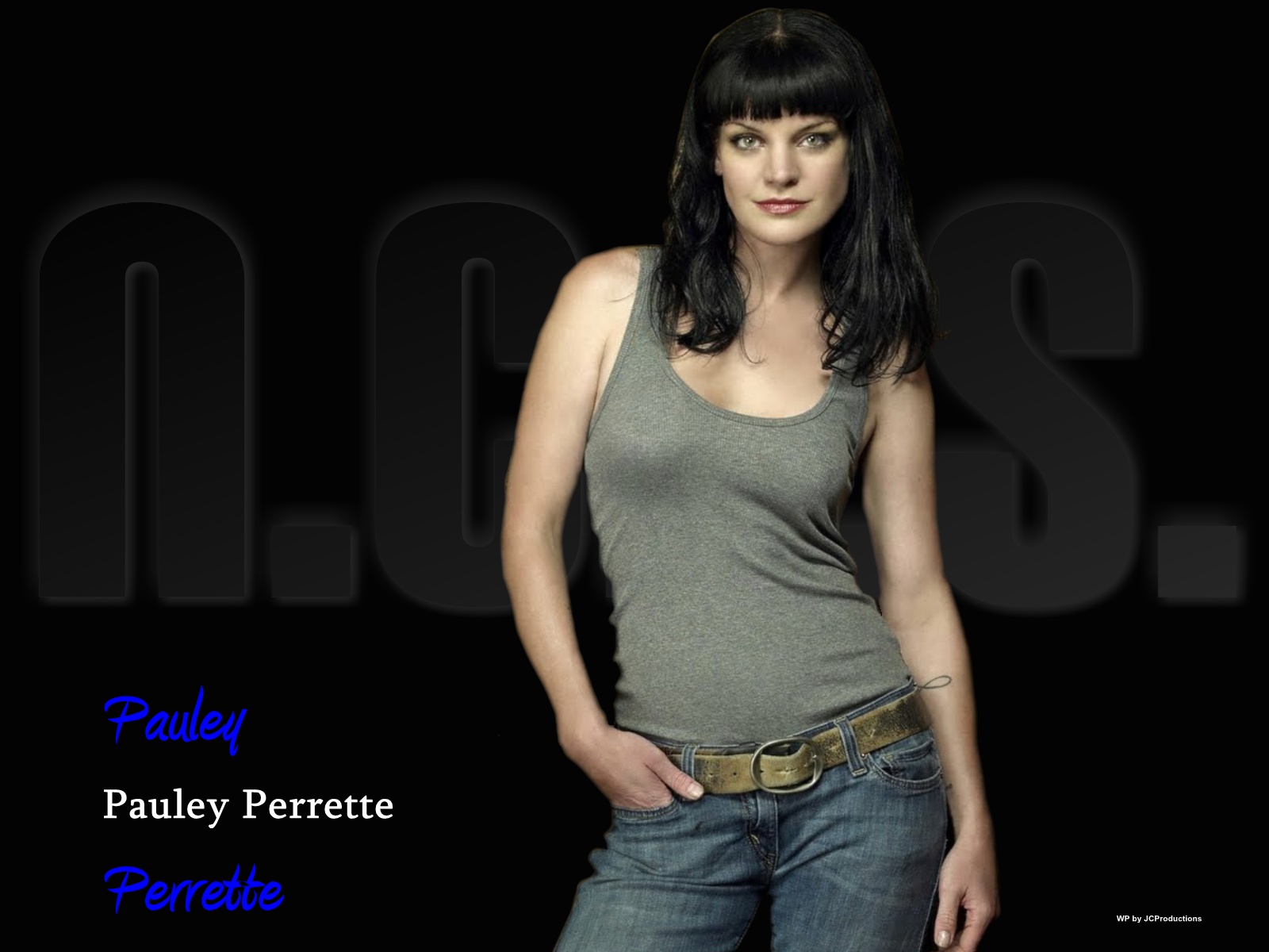 🔥 Free Download Pauley Perrette Wallpaper by @ctate | WallpaperSafari