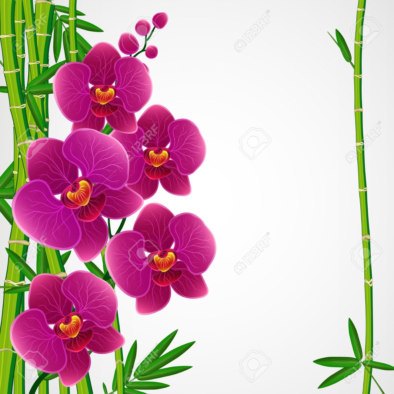 Free download Floral Background With Tropical Orchids For The Design ...
