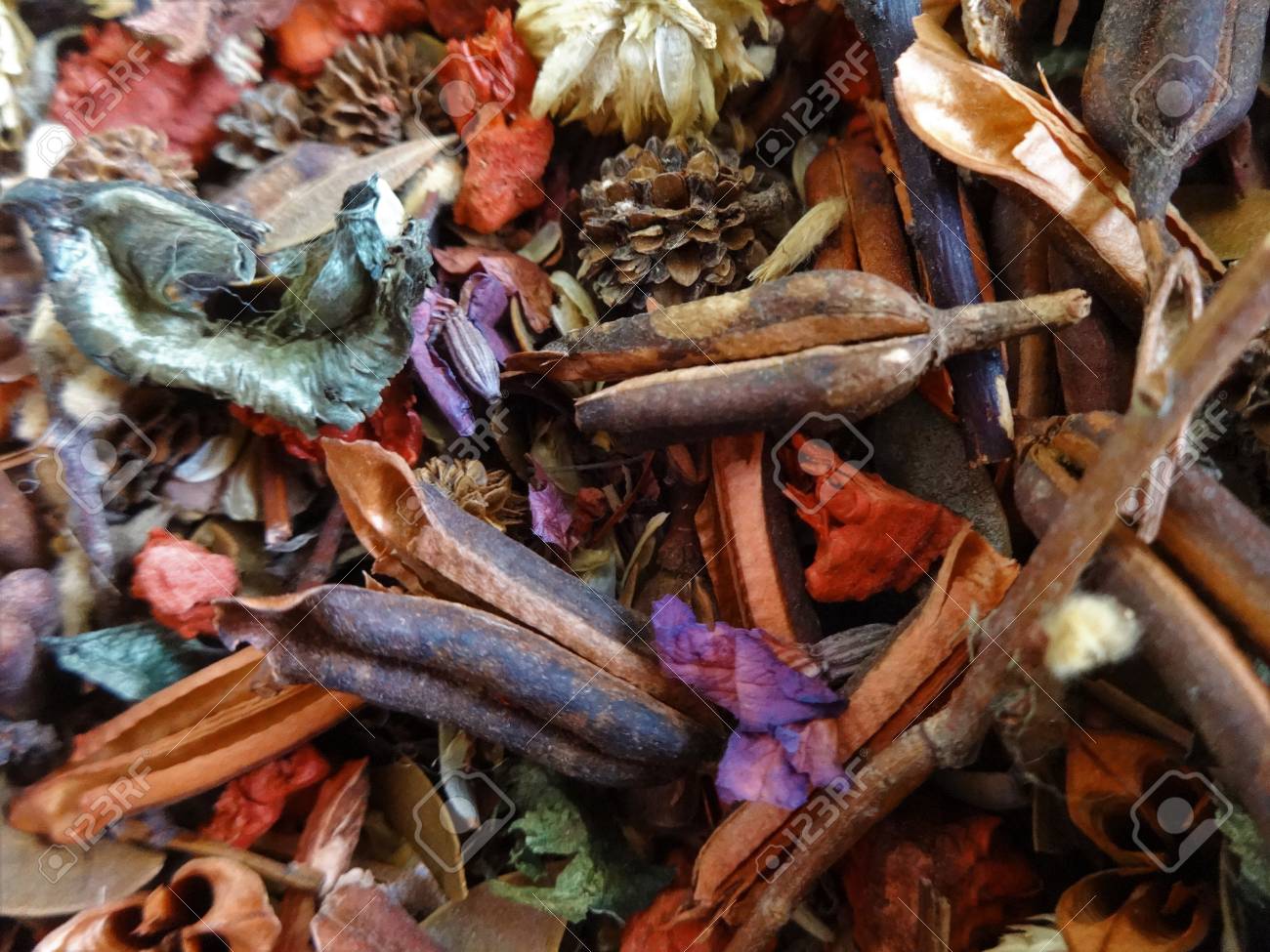 🔥 [41+] Potpourri Background | WallpaperSafari