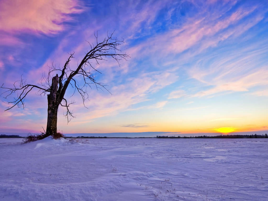 Free Download How To Set Below Image As Wallpaper 1024x768 For Your 