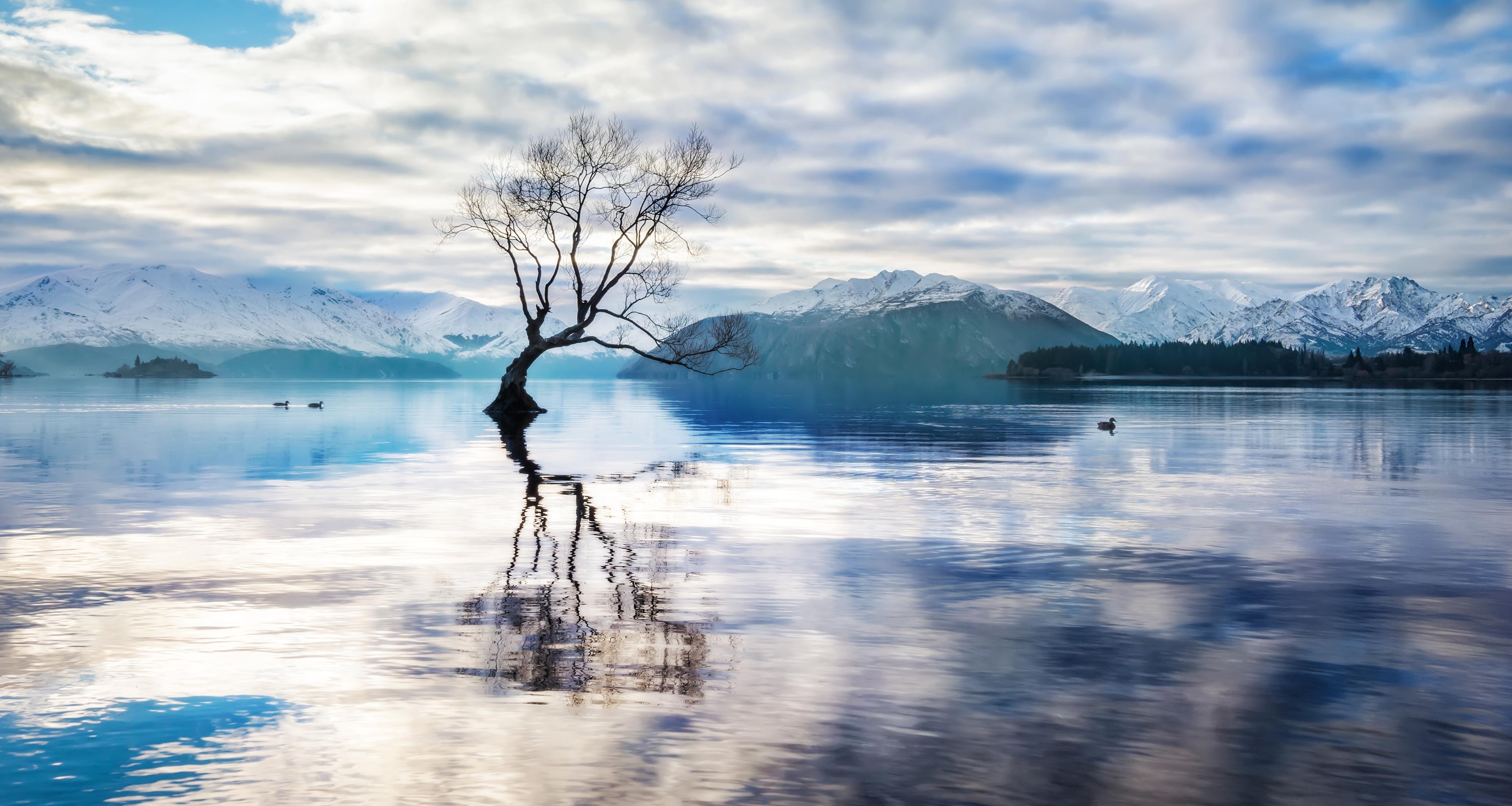 🔥 [50+] Wanaka Wallpapers | WallpaperSafari