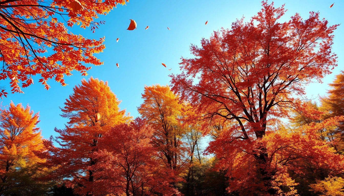 🔥 Free Download Blue October Wallpaper by @kwright53 | WallpaperSafari