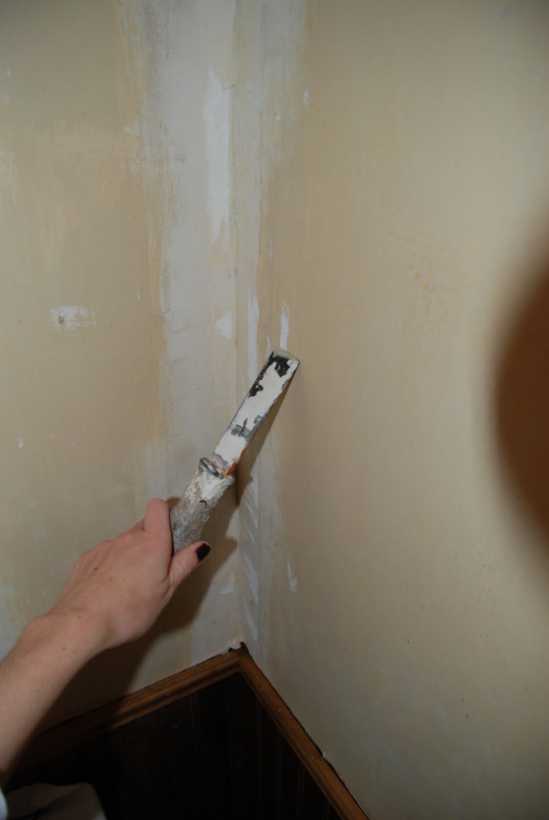 Free Download How To Remove Wallpaper Glue Mister Glue Pinterest 736x552 For Your Desktop free-download-how-to-remove-wallpaper-glue-mister-glue-pinterest-736x552-for-your-desktop