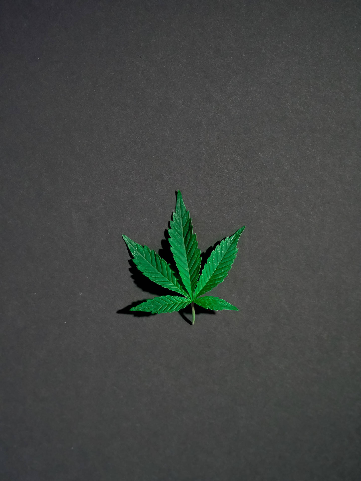 🔥 [40+] Cool Weed Wallpapers | WallpaperSafari