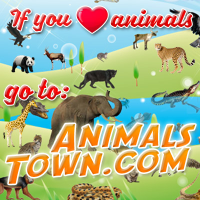 🔥 [30+] Grendel Wallpapers | WallpaperSafari