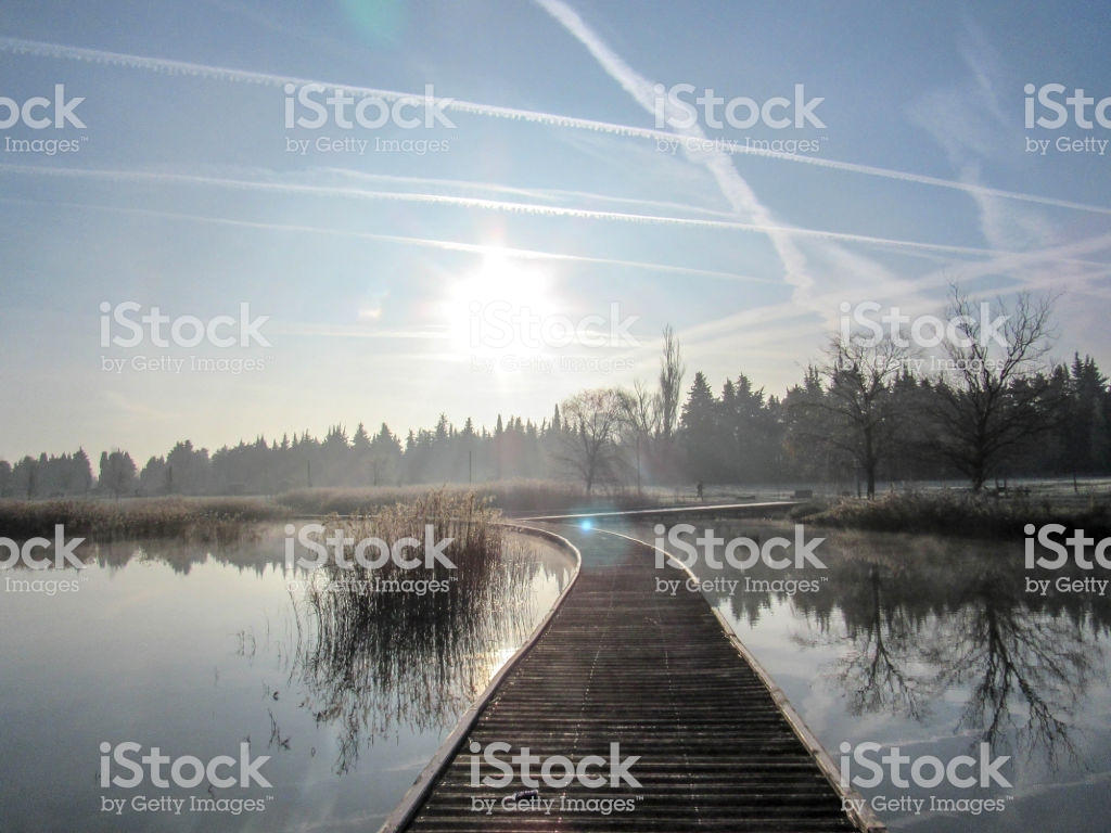 🔥 [40+] Tranquil Backgrounds | WallpaperSafari