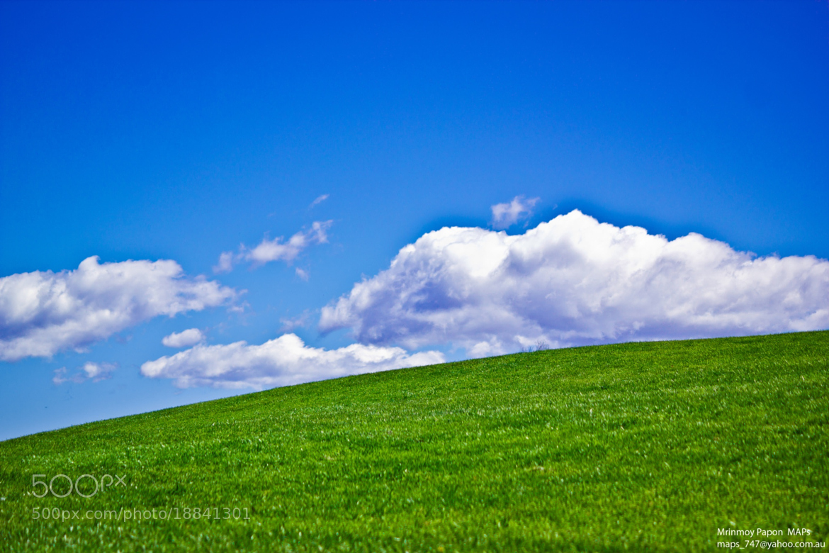 Free download windows xp bliss wallpaper location weddingdressincom ...