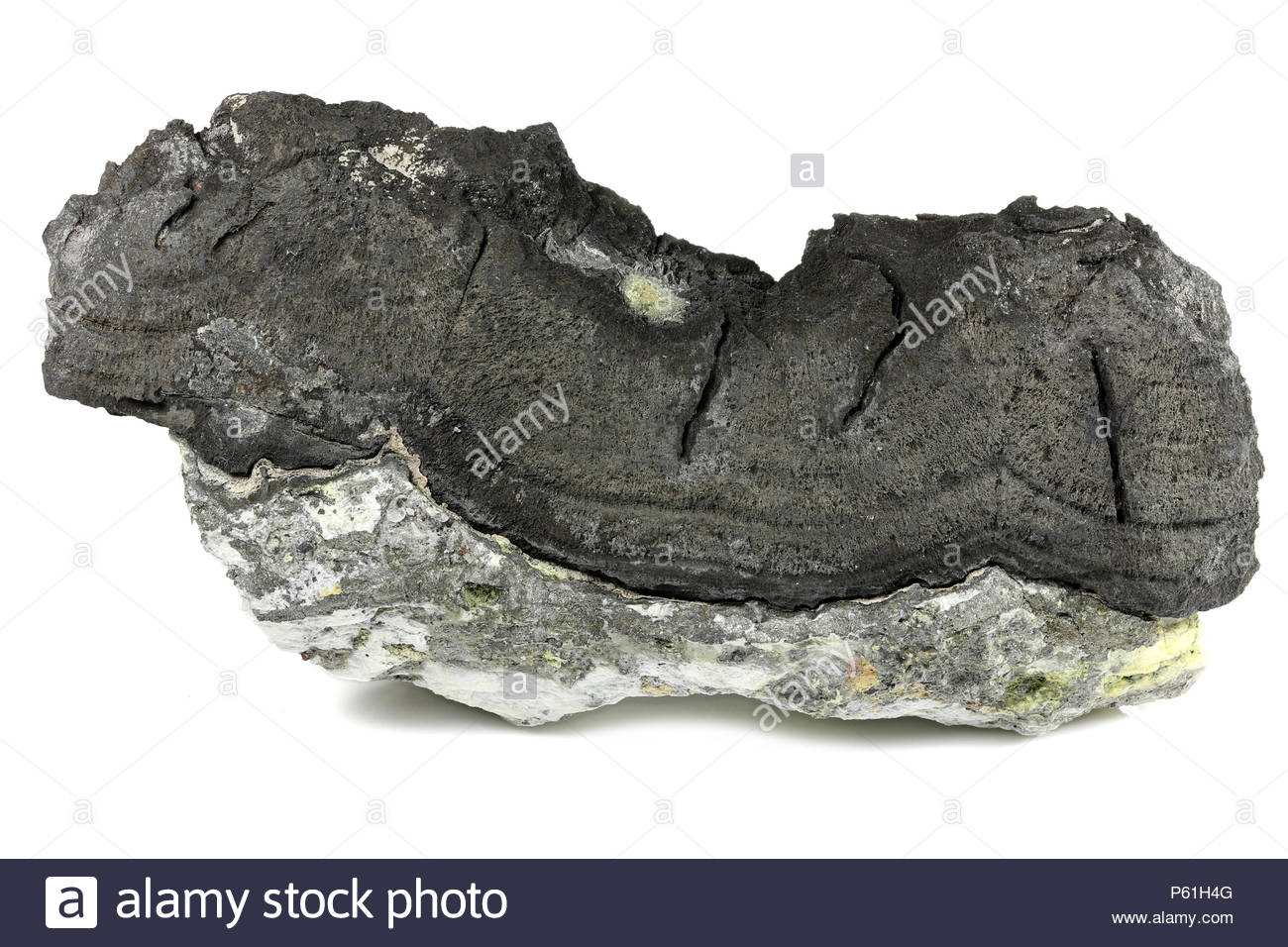 Free download Arsenic Solid Color Background Wallpaper for Mobile Phone ...