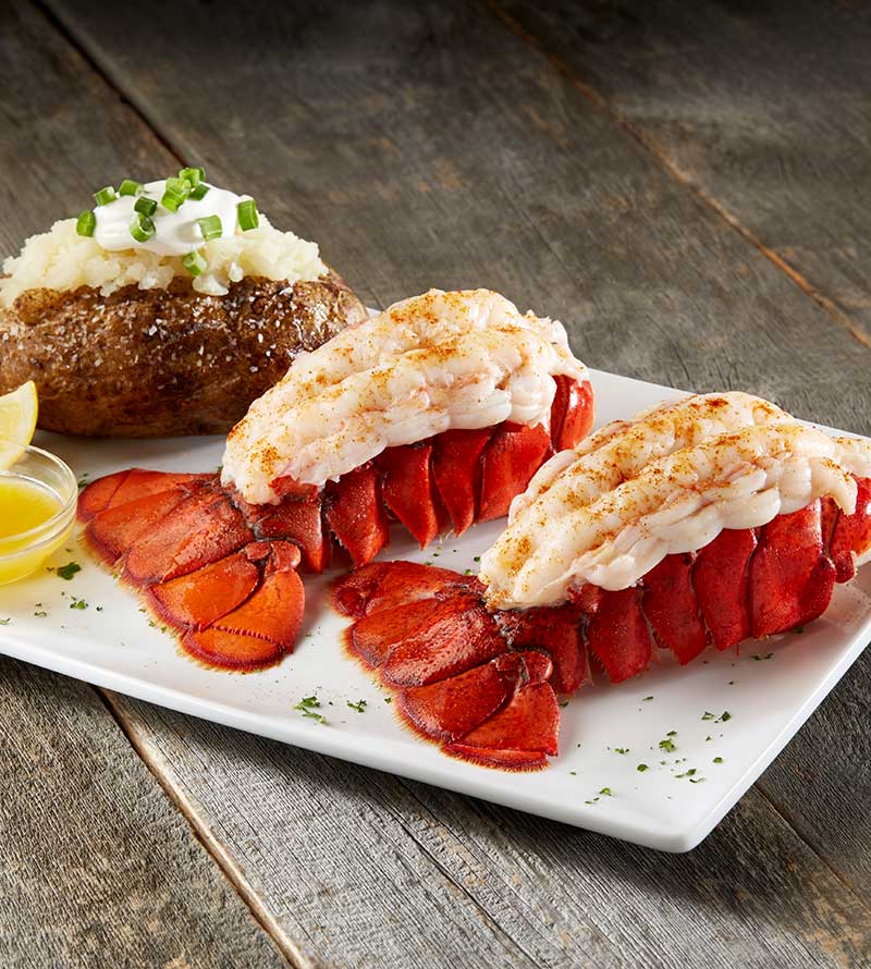 🔥 [10+] Sizzler Backgrounds | WallpaperSafari