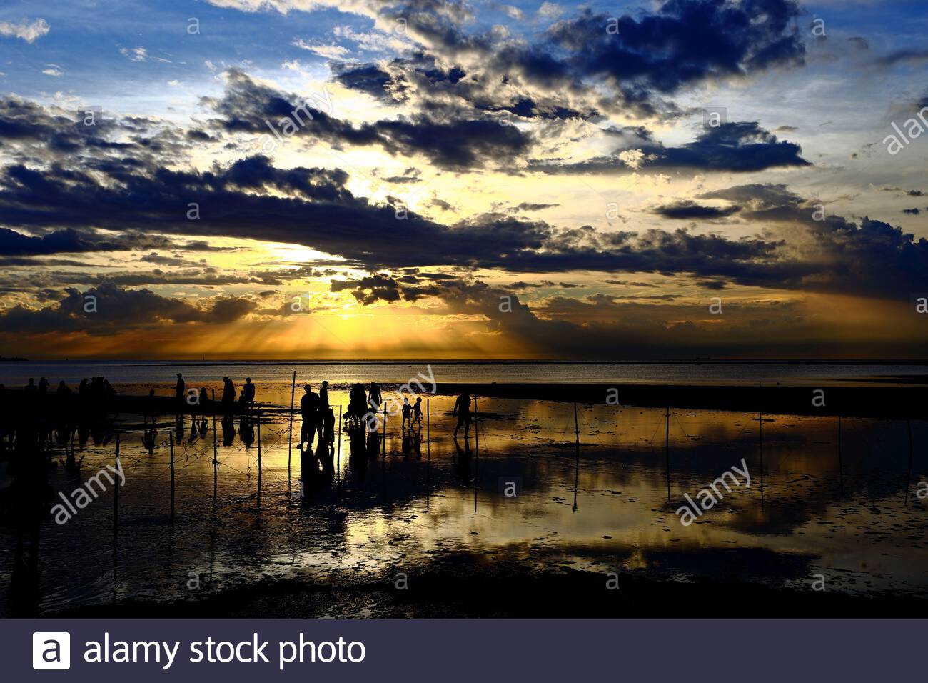 🔥 [32+] Wetlands Background | WallpaperSafari