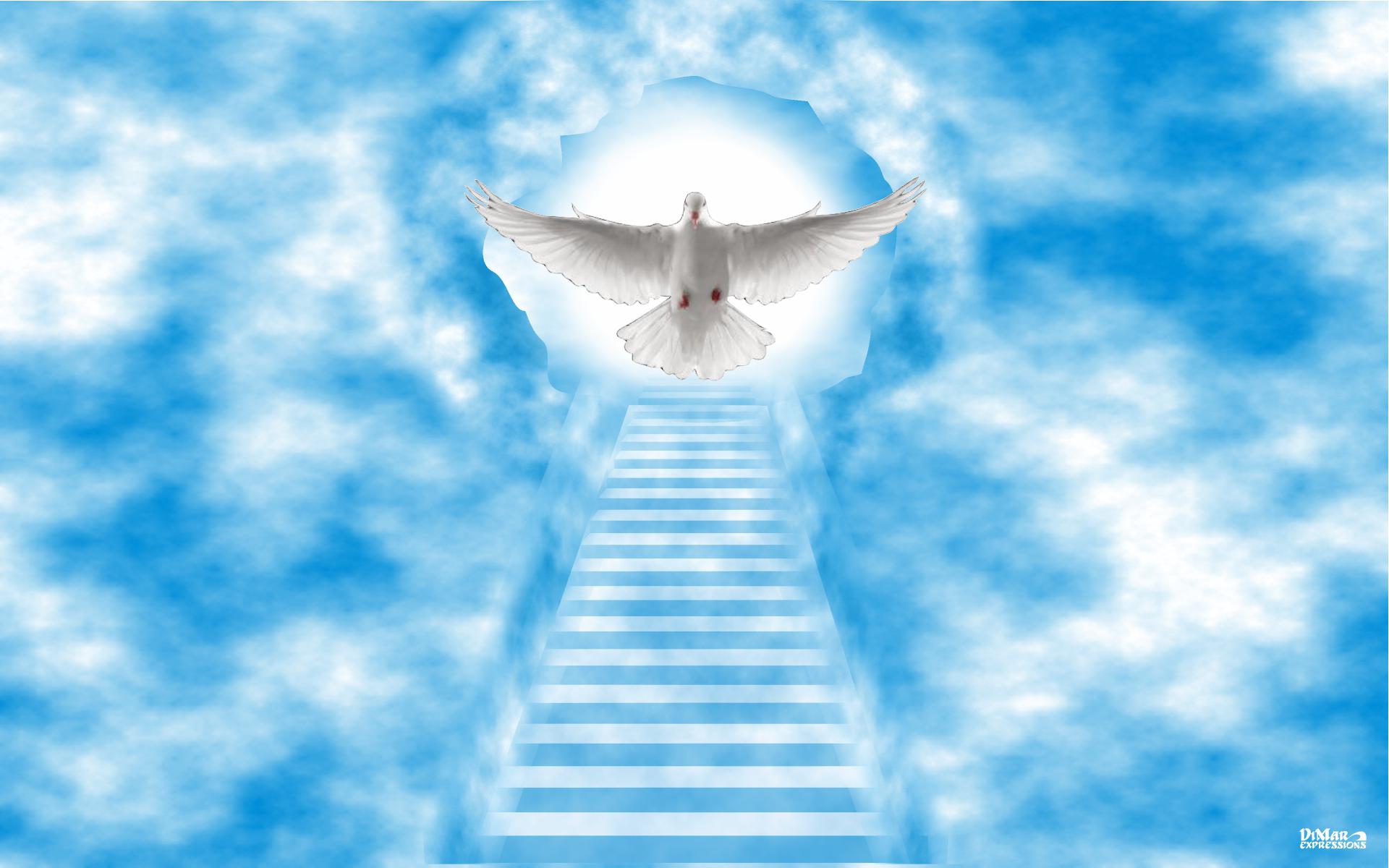 Heaven Images Backgrounds WallpaperSafari