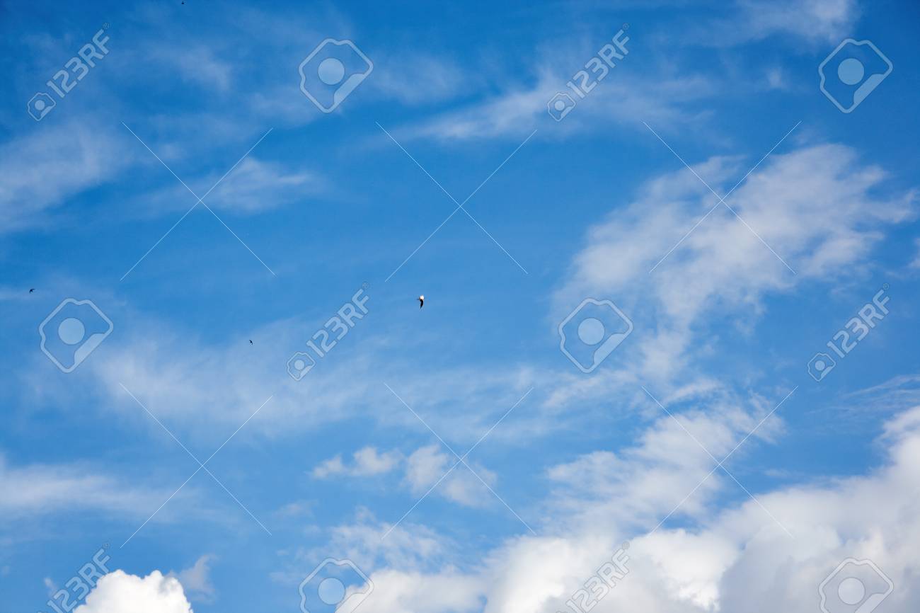 [50+] Soar Background on WallpaperSafari