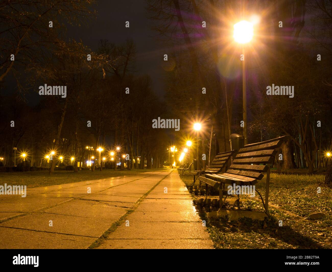Download Footpath at night in the park Alley in the park with light ...