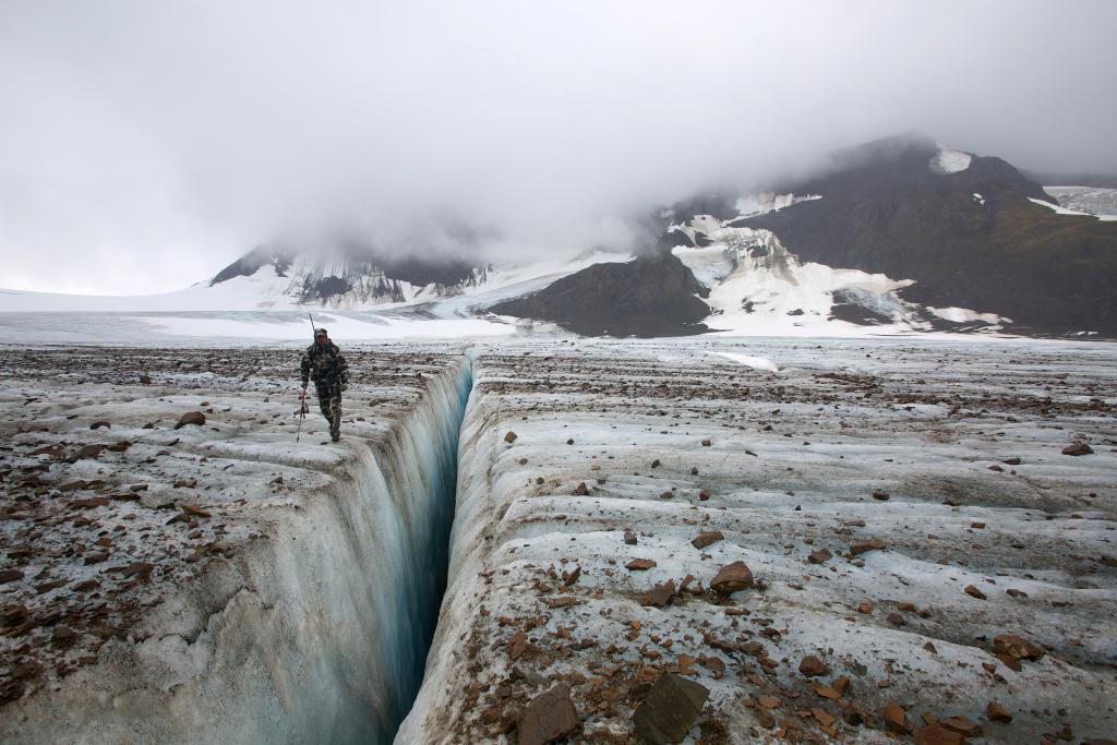 Kelly Hurst Wallpaper Collection on WallpaperSafari