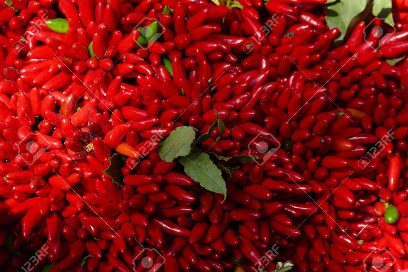 [48+] Chili Wallpapers | WallpaperSafari